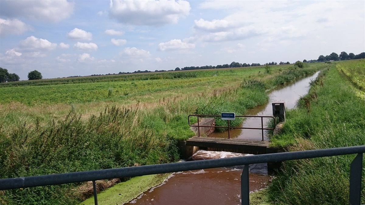 Snelleloop, benedenloop - Waterschap Aa en Maas