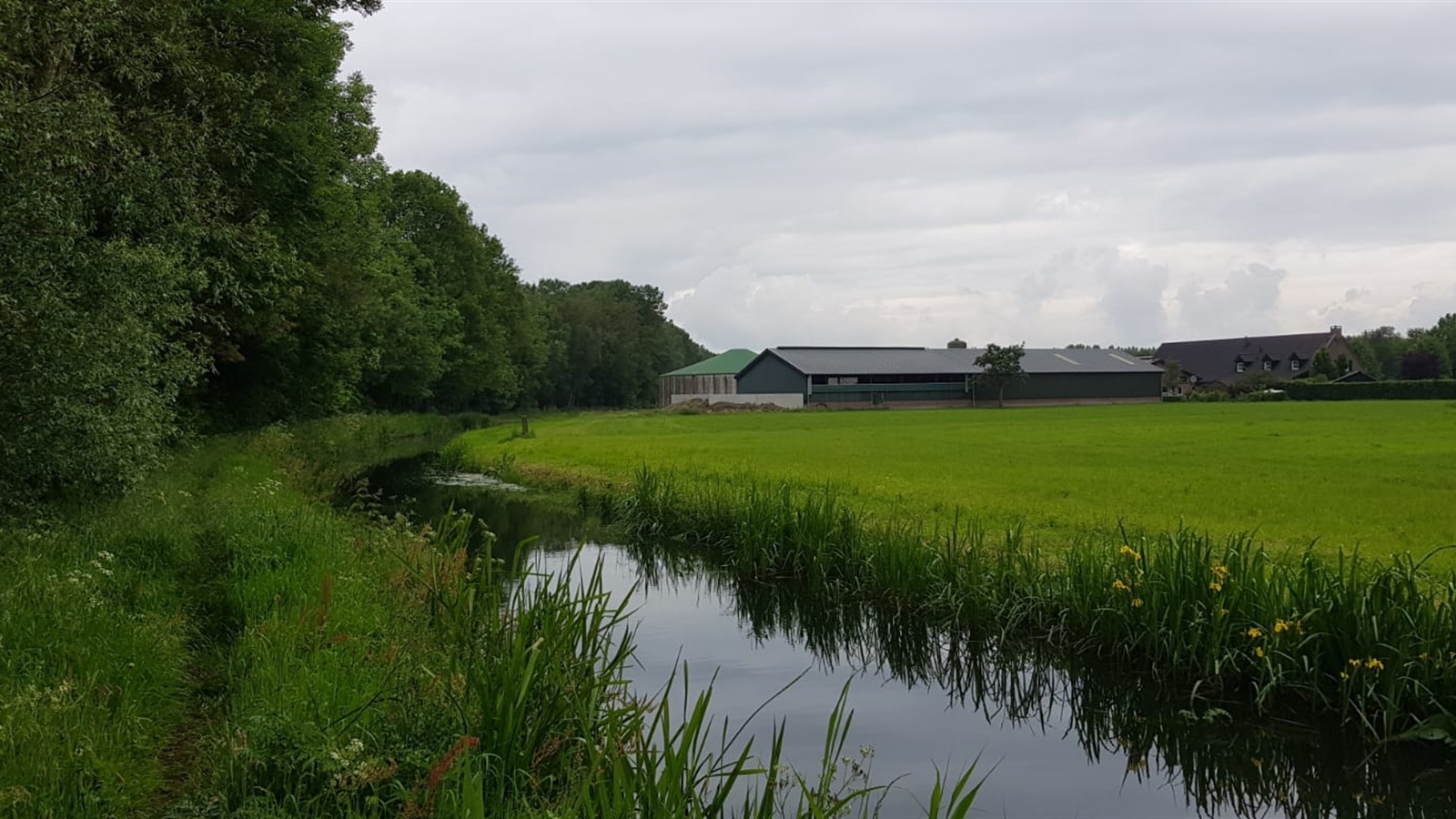 Snelleloop, benedenloop - Waterschap Aa en Maas