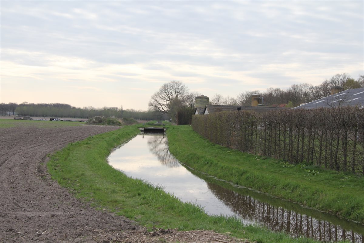 Foto's Snelle Loop, benedenloop - Waterschap Aa en Maas