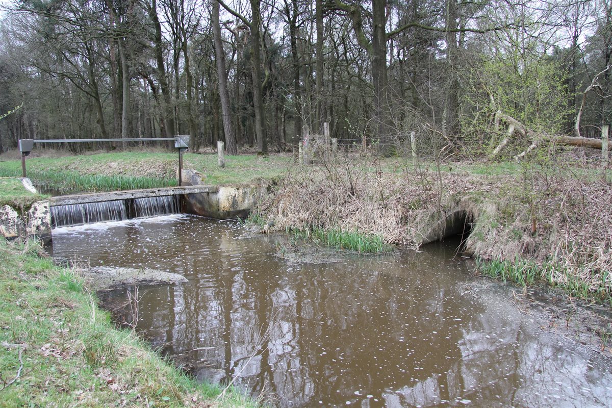 Foto's Snelle Loop, benedenloop - Waterschap Aa en Maas