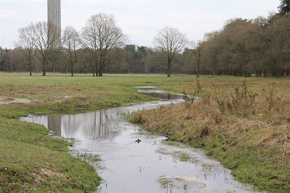 Foto's Snelle Loop, benedenloop - Waterschap Aa en Maas