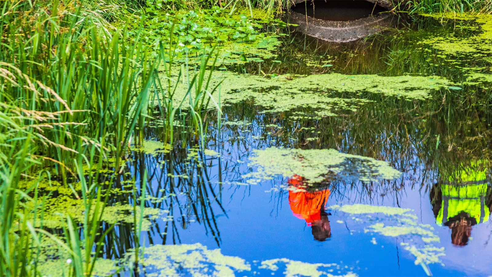 Waterschapsverordening - Waterschap Aa en Maas