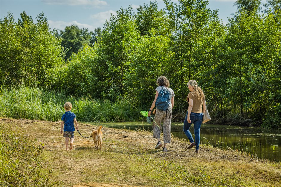 Natuurgebied De Maashorst - Waterschap Aa en Maas