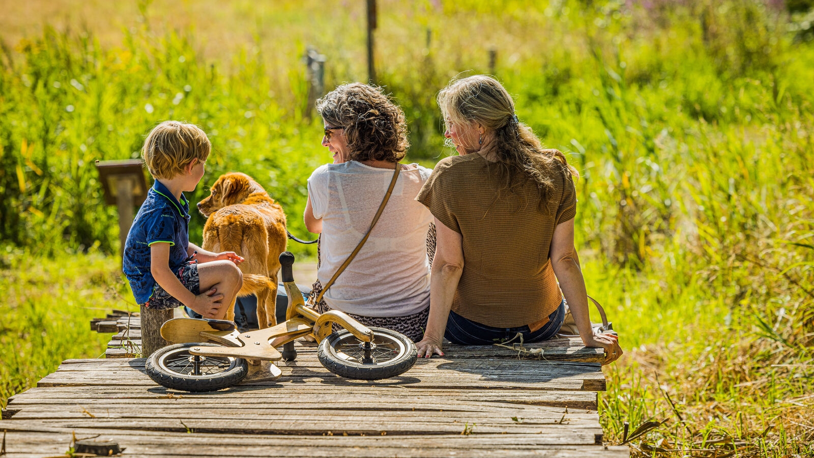 Natuurgebied De Maashorst - Waterschap Aa en Maas