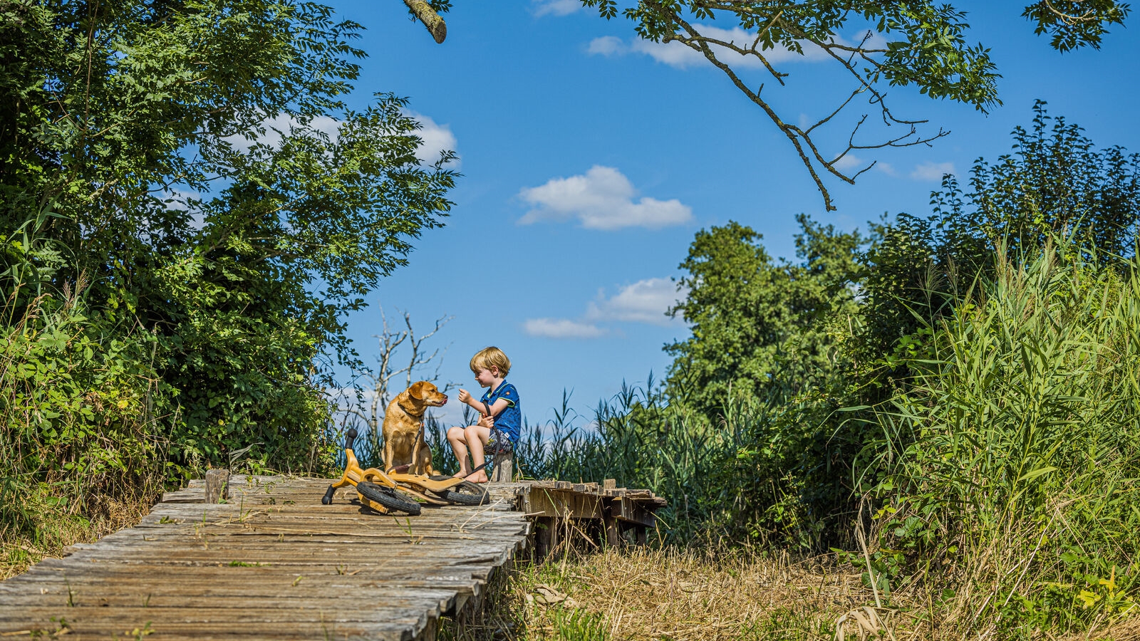 Natuurgebied De Maashorst - Waterschap Aa en Maas