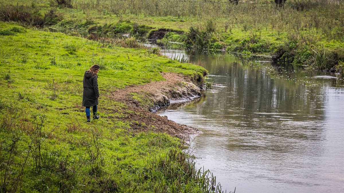 Dynamisch beekdal van de Aa - Waterschap Aa en Maas