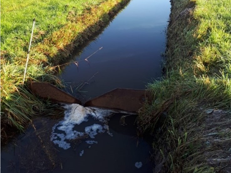 Grasland beregenen met grondwater vanaf 1 april toegestaan - Waterschap ...