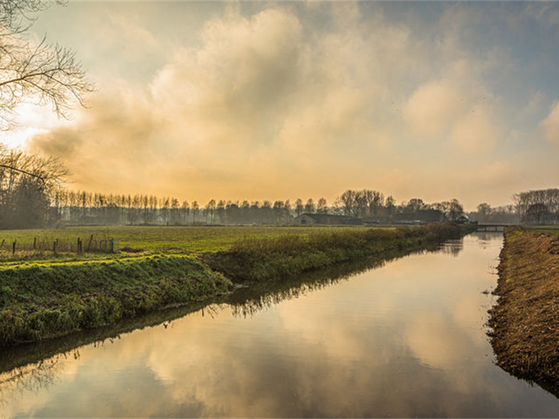 Zo gaan wij om met de nieuwe regels vanuit de RVO over ...