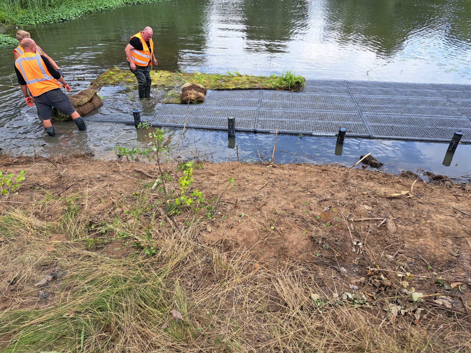 Een nieuwe ecologische parel in de Graafsche Raam - Waterschap Aa en Maas