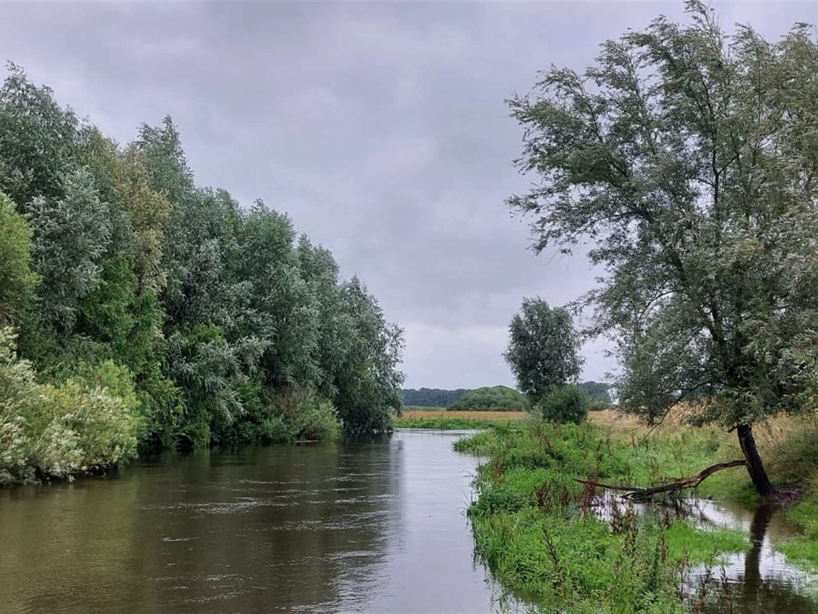 Dynamisch Beekdal doet zijn naam eer aan: gebied ingericht om veel ...