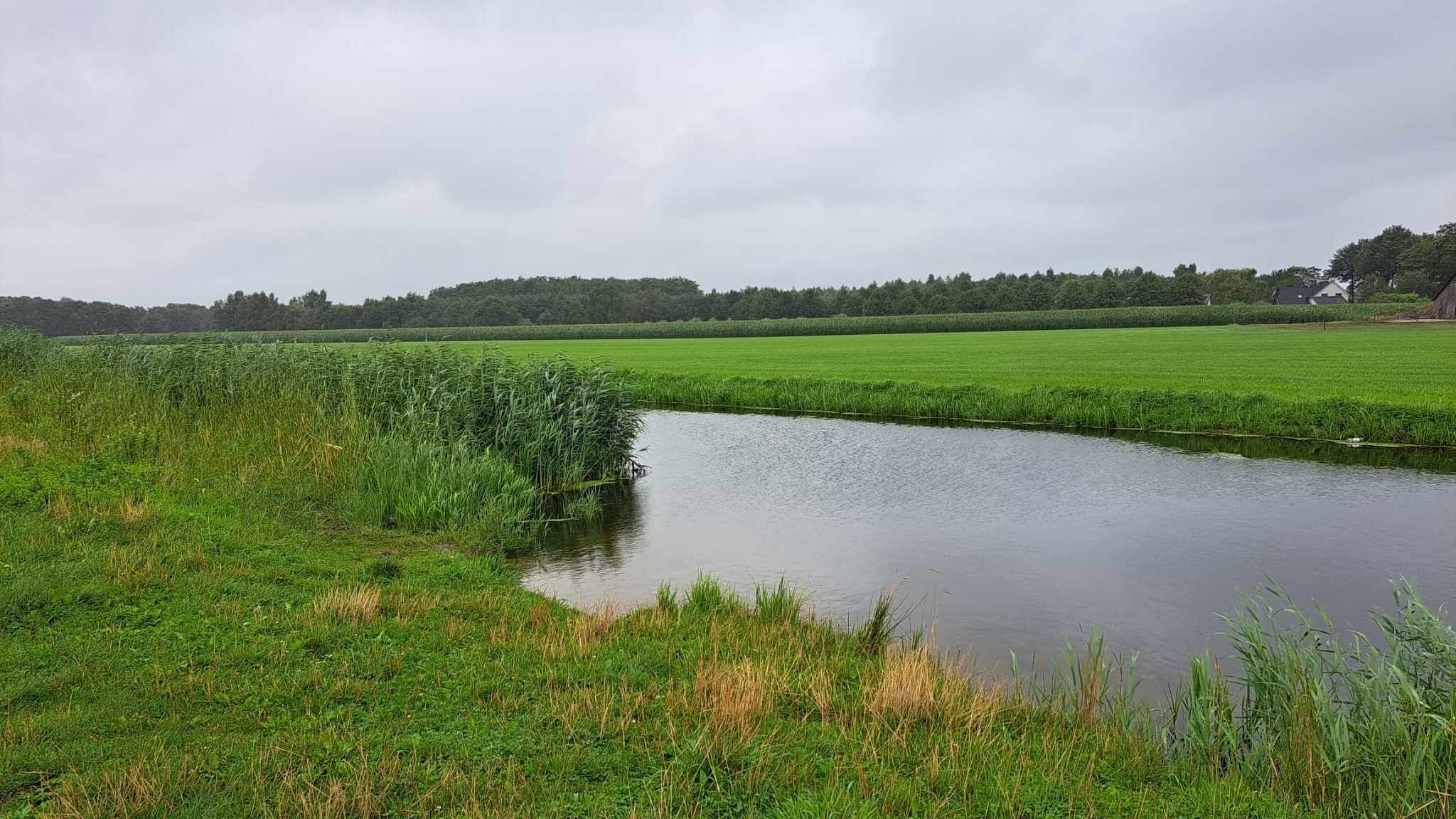 Ecologische verbindingszone Leijgraaf - Het Schoor - Waterschap Aa en Maas