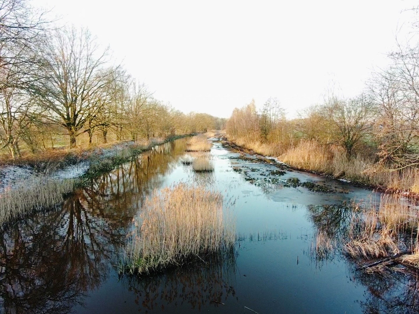 Waterbericht januari 2024: terug naar normaal na extreem natte periode ...