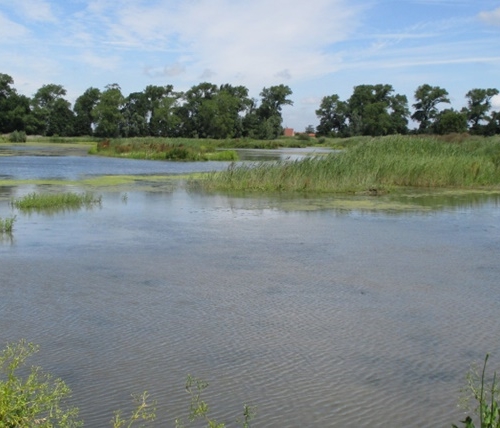 Meer water voor de Maashorst met eigen gezuiverd afvalwater van ...