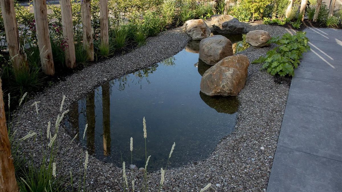 Maak je tuin waterwijs - Waterschap Aa en Maas